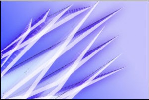 Crystal Craze in Photoshop Photoshop Tutorial - PhotoshopCAFE