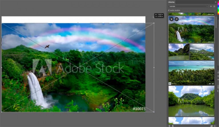 How to search and download Adobe Stock images in Photoshop - PhotoshopCAFE
