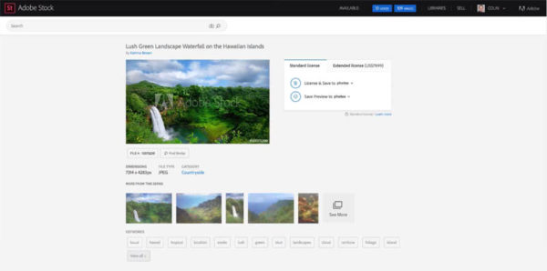 How to search and download Adobe Stock images in Photoshop - PhotoshopCAFE