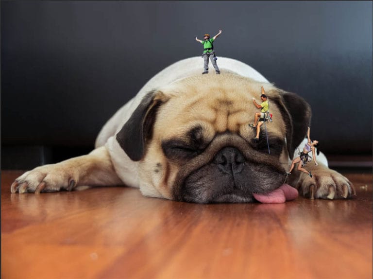 How to make tiny people in Photoshop, shrink people into mini people ...