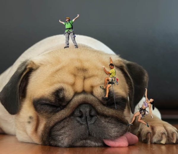 How to make tiny people in Photoshop, shrink people into mini people ...