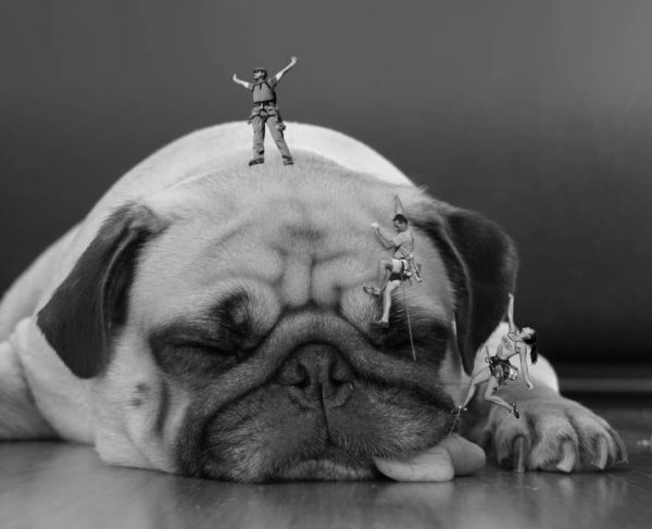 How to make tiny people in Photoshop, shrink people into mini people ...