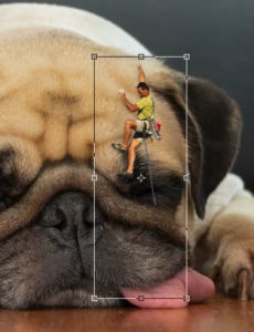 How to make tiny people in Photoshop, shrink people into mini people ...