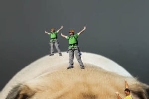 How to make tiny people in Photoshop, shrink people into mini people ...