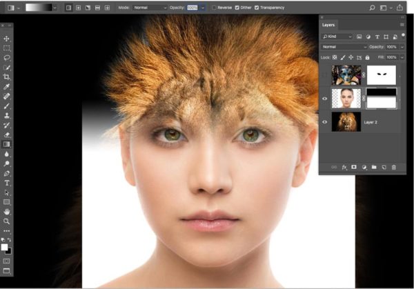 How to Use Layer Masks in Photoshop and 7 Layer Masking tips ...