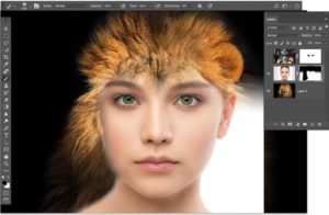 How to Use Layer Masks in Photoshop and 7 Layer Masking tips ...
