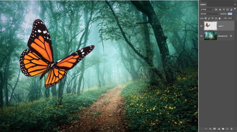 How To Use Smart Objects In Photoshop The Ultimate Guide Photoshopcafe