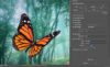 How to use Smart Objects in Photoshop, the ultimate guide - PhotoshopCAFE