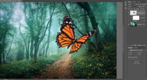 How to use Smart Objects in Photoshop, the ultimate guide - PhotoshopCAFE