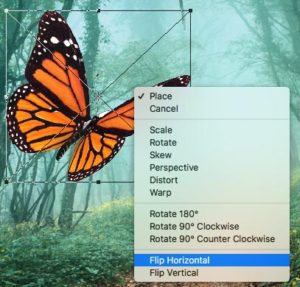 How to use Smart Objects in Photoshop, the ultimate guide - PhotoshopCAFE