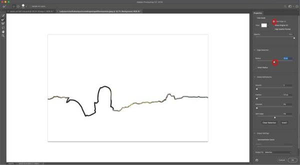 How to blur a photo background in Photoshop using blur masks and Depth ...