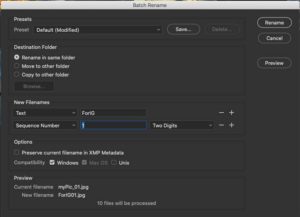 Automating Photoshop to crop and reposition multiple photographs - PhotoshopCAFE