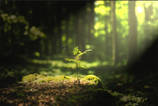 How to Create a realistic beam of sunlight in Photoshop - PhotoshopCAFE