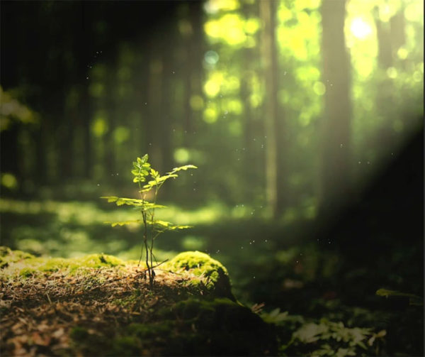 How to Create a realistic beam of sunlight in Photoshop - PhotoshopCAFE