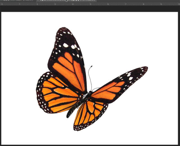 Understanding Image Resolution in Photoshop for beginners - PhotoshopCAFE