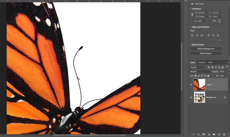 Understanding Image Resolution in Photoshop for beginners - PhotoshopCAFE