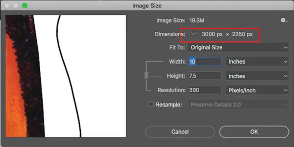 Understanding Image Resolution in Photoshop for beginners - PhotoshopCAFE