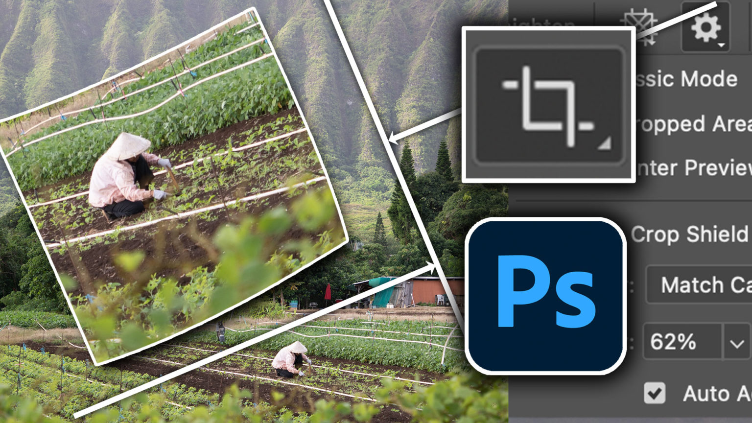 How to Resize a photo to any size and fill the overcrop with Generative Expand in Photoshop ...