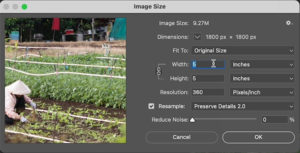 Crop an image to an exact size in Photoshop, easy to follow Photoshop ...
