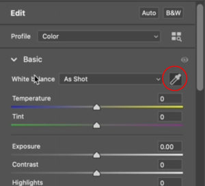Fix color in photos, 1 click in Photoshop or Lightroom - PhotoshopCAFE