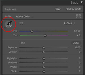 Fix color in photos, 1 click in Photoshop or Lightroom - PhotoshopCAFE