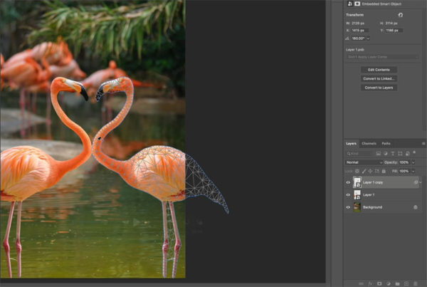 Bend anything in Photoshop with Puppet Warp. Free tutorial - PhotoshopCAFE