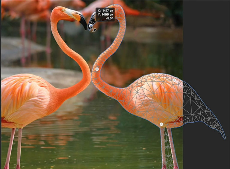 Bend anything in Photoshop with Puppet Warp. Free tutorial - PhotoshopCAFE