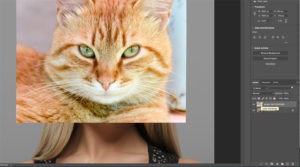 Layer masks in Photoshop - Get perfect smooth transparency on your ...