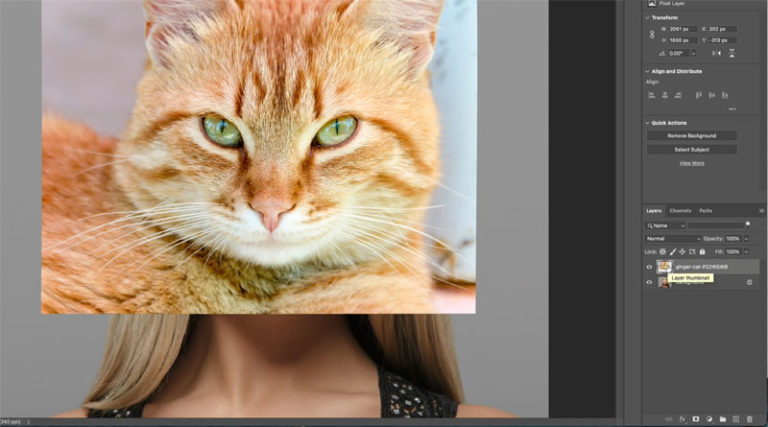 Layer masks in Photoshop - Get perfect smooth transparency on your ...