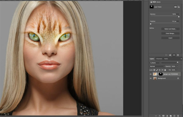 Layer masks in Photoshop - Get perfect smooth transparency on your ...