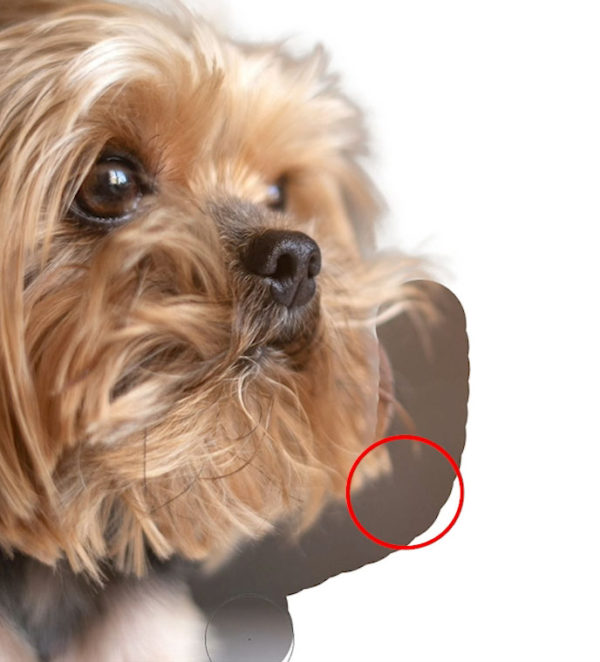 How to get better fur + hair cut outs in Photoshop by making a small ...