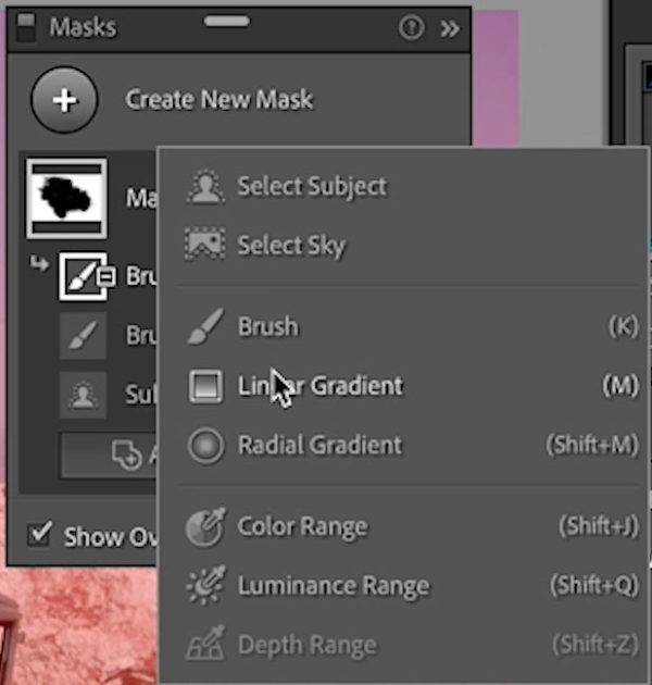 How to use the new Masking + AI in Lightroom 2022 (Lightroom 12 ...