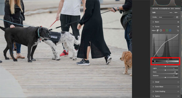 Best way to lighten shadows in photos in Photoshop - PhotoshopCAFE