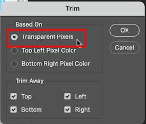 How to make a sticker in Photoshop - PhotoshopCAFE