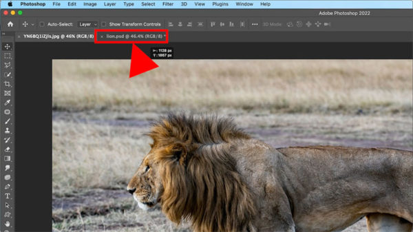 How to combine photos in Photoshop for beginners - PhotoshopCAFE