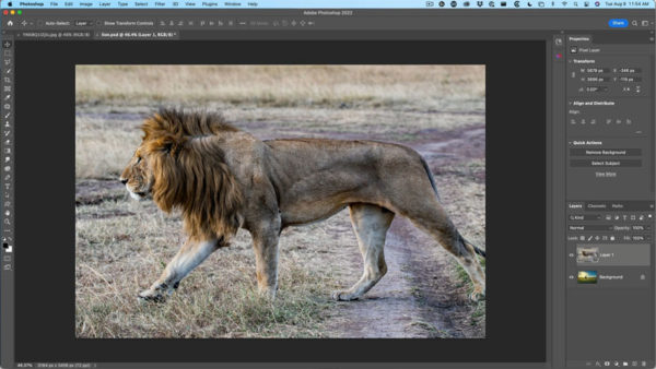 How to combine photos in Photoshop for beginners - PhotoshopCAFE