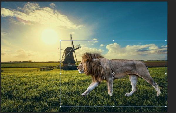 How to combine photos in Photoshop for beginners - PhotoshopCAFE