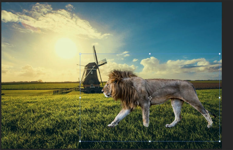 How to combine photos in Photoshop for beginners - PhotoshopCAFE