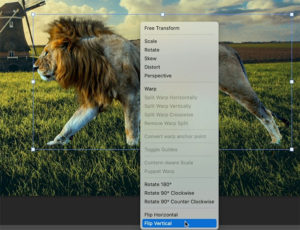 How to combine photos in Photoshop for beginners - PhotoshopCAFE