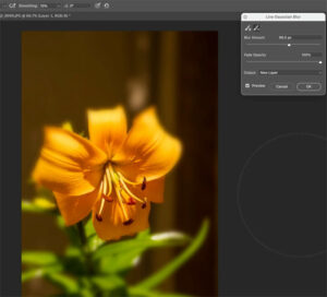 Secret new features in Photoshop 2023 - Live gradient and live blur are ...