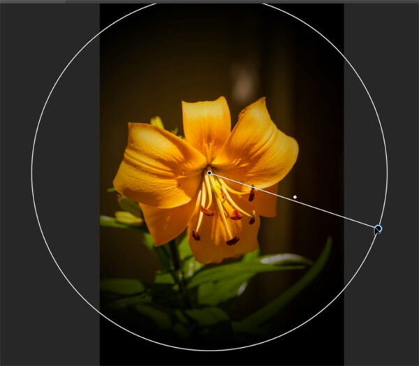 Secret new features in Photoshop 2023 - Live gradient and live blur are ...
