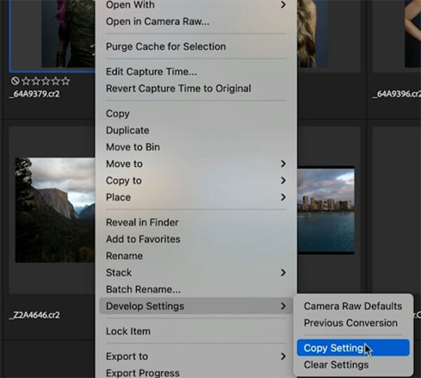 5 Hidden Tips for Adobe Camera Raw - PhotoshopCAFE
