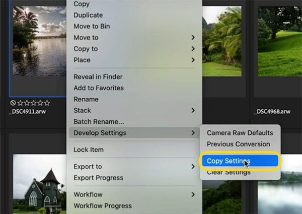 How to automatically edit Landscape photos in Adobe Camera Raw + Lightroom using Smart Presets ...