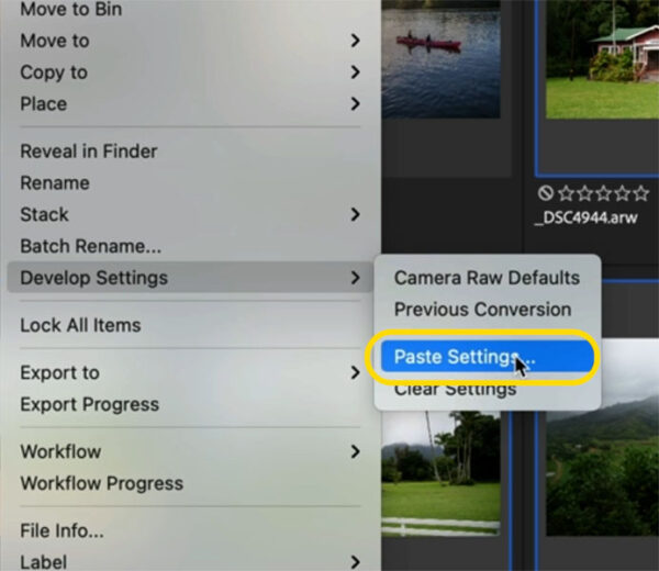 How to automatically edit Landscape photos in Adobe Camera Raw ...