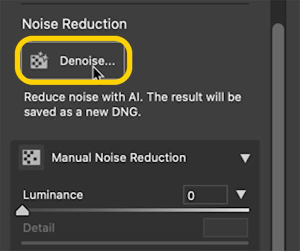 How to use Adobe Denoise AI In Lightroom and Camera Raw - PhotoshopCAFE