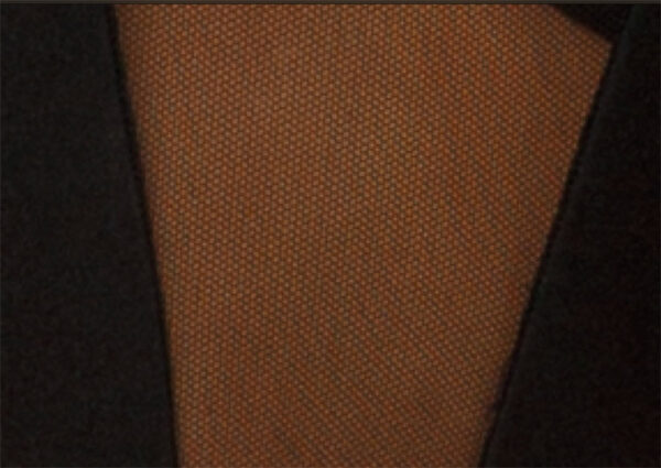 How to use Adobe Denoise AI In Lightroom and Camera Raw - PhotoshopCAFE