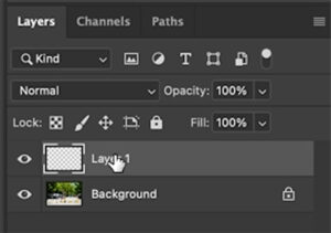 New AI Remove tool in Photoshop, How to remove anything from a picture ...