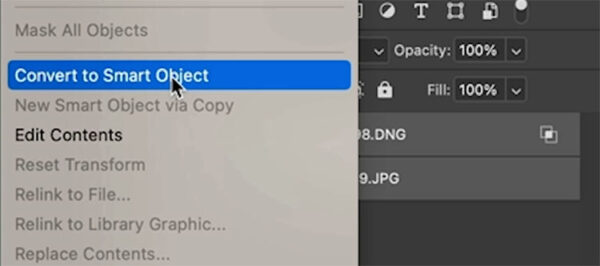 Access Lightroom Adjustments inside Photoshop. Opens Smart Objects as ...