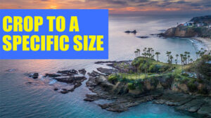 How to Resize a photo to any size and fill the overcrop with Generative Expand in Photoshop ...