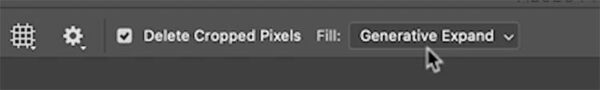 How to Resize a photo to any size and fill the overcrop with Generative Expand in Photoshop ...